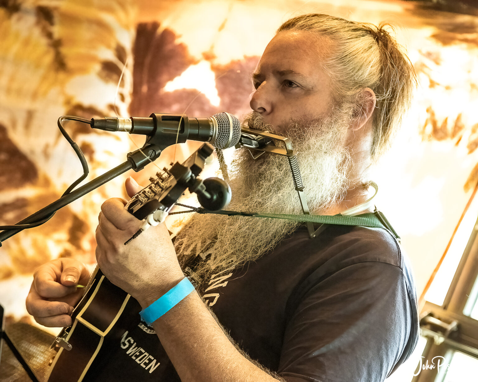 Harpin’ Help Celebrates 25 Years! – Jersey Shore Jazz & Blues Foundation